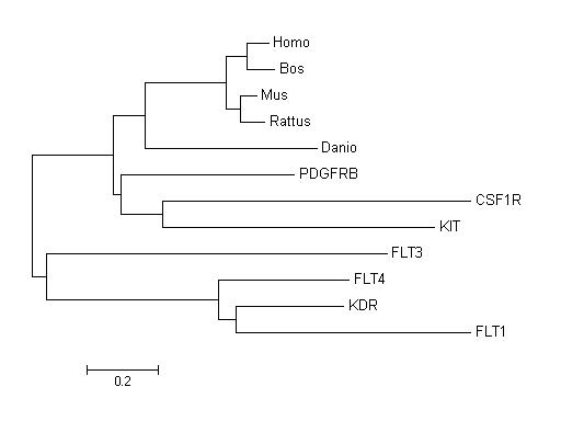 FIP1L1-PDGFRA fusion protein
